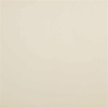 Simplex Lining 1 Paintable Paper | 437-RD1000W