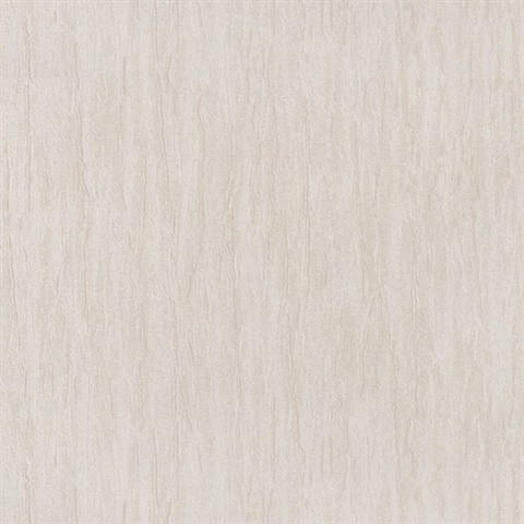 Rivera Beige Silk Texture | 2619-Z2417