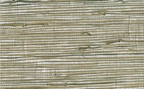 Triangle Grass | EL337X