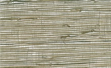 Triangle Grass | EL337X