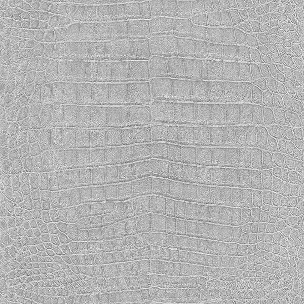 Crocodile Textured Silvery Grey | AQ474145
