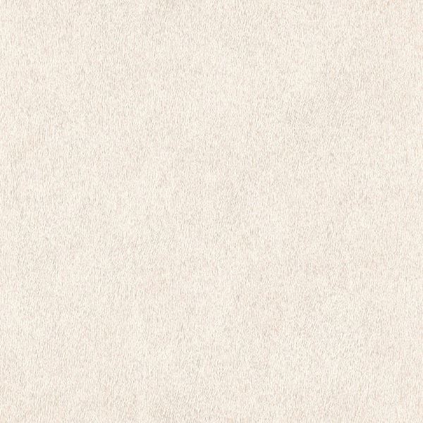 Fur Like Textured Eggshell White | AQ423204