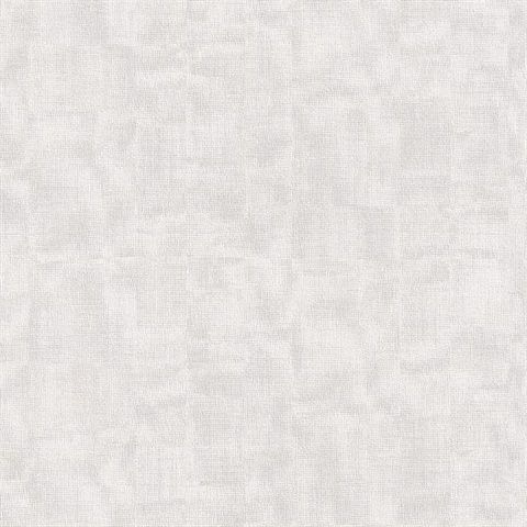 Light Gray Scrim Texture | 721263