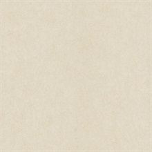 Vellum Silver Air Knife Texture | 295-58480