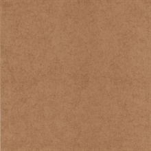 Vellum Silver Air Knife Texture | 295-58480