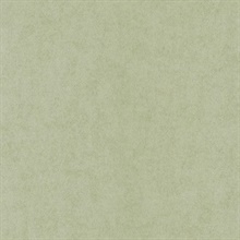Vellum Silver Air Knife Texture | 295-58480