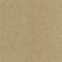 Vellum Silver Air Knife Texture | 295-58480