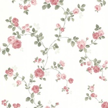 Cornelia Pink Rose Trail | 344-68730