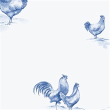 Blue Rooster | KE29932