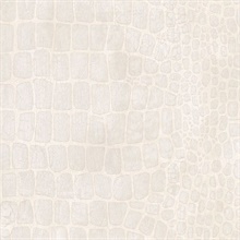 Alligator Print | LL29564