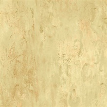 Tuscany Plaster | FR60609