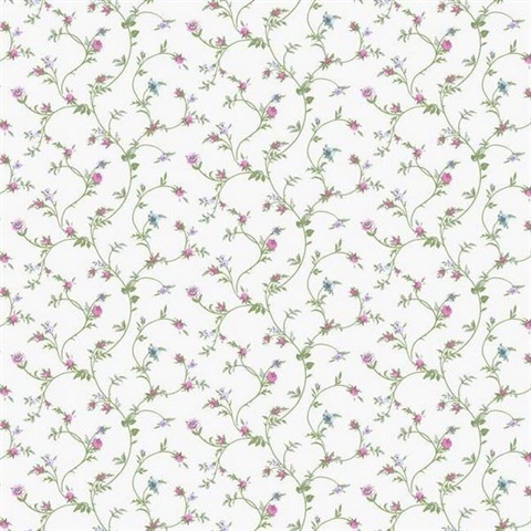 Mini Bud Trail | GD5447