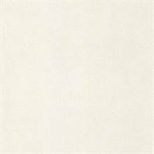 Matter Eggshell Texture | 356185