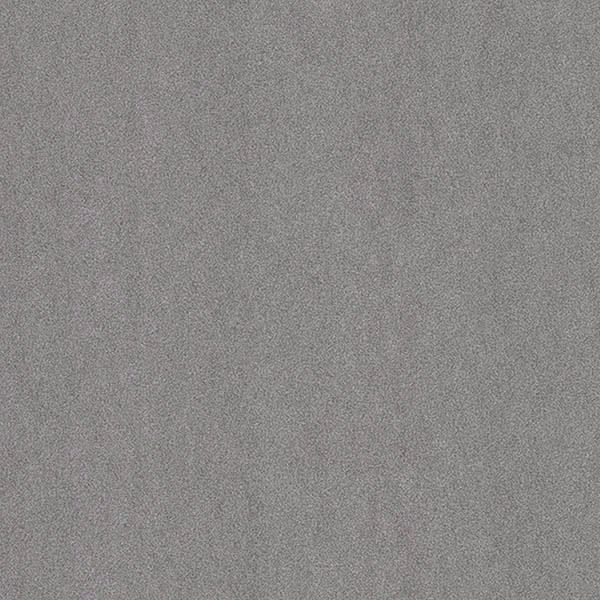 Matter Grey Texture | 356194