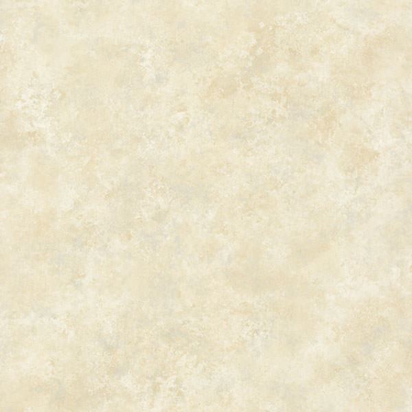 Aspasia Off-White Distressed Texture | 484-68061