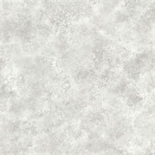 January Silver Distressed Texture | 484-68071