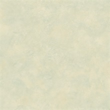 MLV10072 | Beige Colorwash Suede | Wallpaper Boulevard