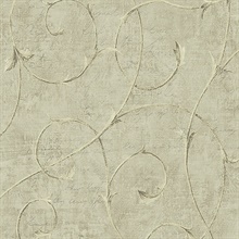 292-80900 | Beige Scroll | Wallpaper Boulevard