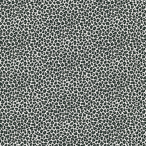 Cheetah Black Animal Print | 405-49437