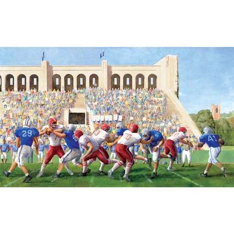 MP4978M | Football Stadium Mural