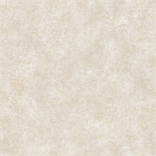 Giles Stone Faux Patina Texture | ARS26052