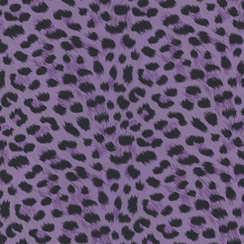 443-90544 | Kitty Purry Purple Leopard Print Wallpaper | Wallpaper ...