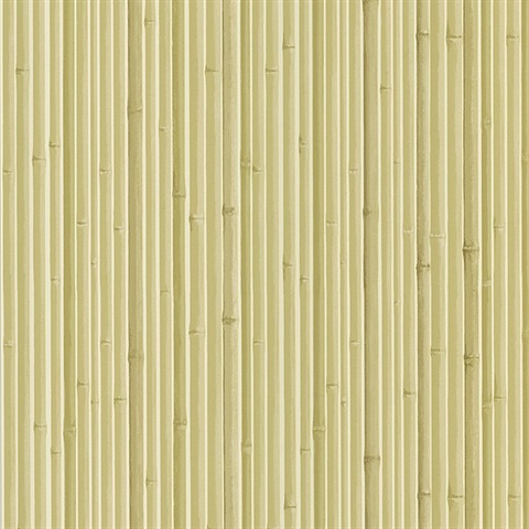 Kyoto Beige Bamboo | 405-49459