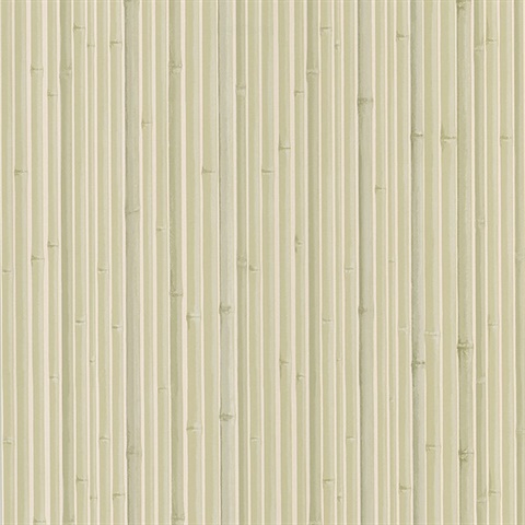 Kyoto Light Grey Bamboo | 405-49458