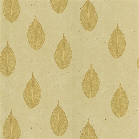 Madhya Beige Leaves | 405-49465
