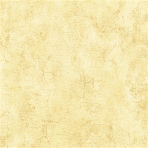 Prospect Texture | AB21007