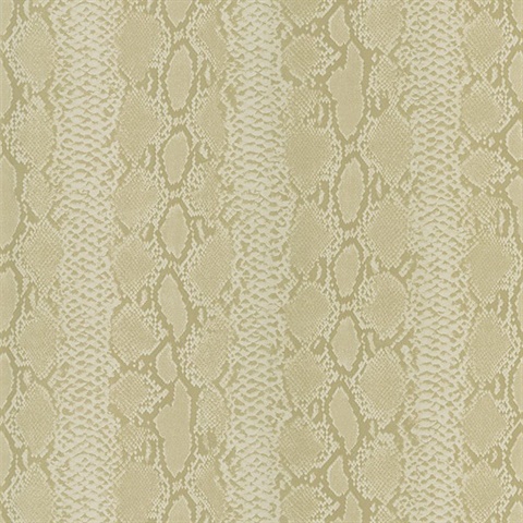 Python Beige Snakeskin | 405-49404