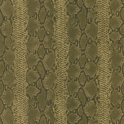 Python Brown Snakeskin | 405-49405