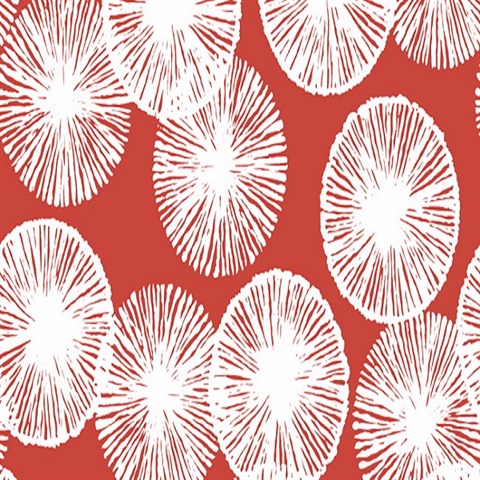 LS71101 | Red and White Sandollar | Wallpaper Boulevard
