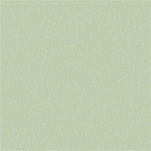 JC6031 | Rice Paper | Wallpaper Boulevard