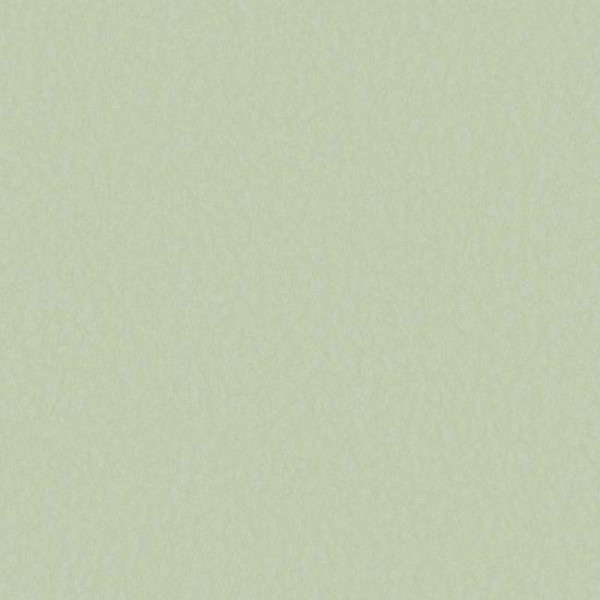 JC6031 | Rice Paper | Wallpaper Boulevard