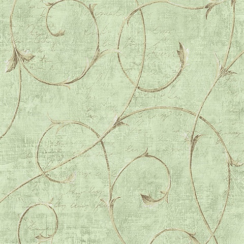292-80904 | Sage Scroll | Wallpaper Boulevard