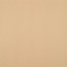 HT2038 | Sandy Beach | Wallpaper Boulevard