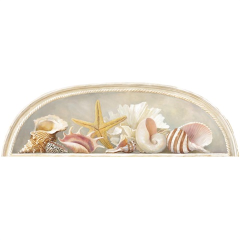 AZ5209MMP | Sea Shell Wall Accent Mural